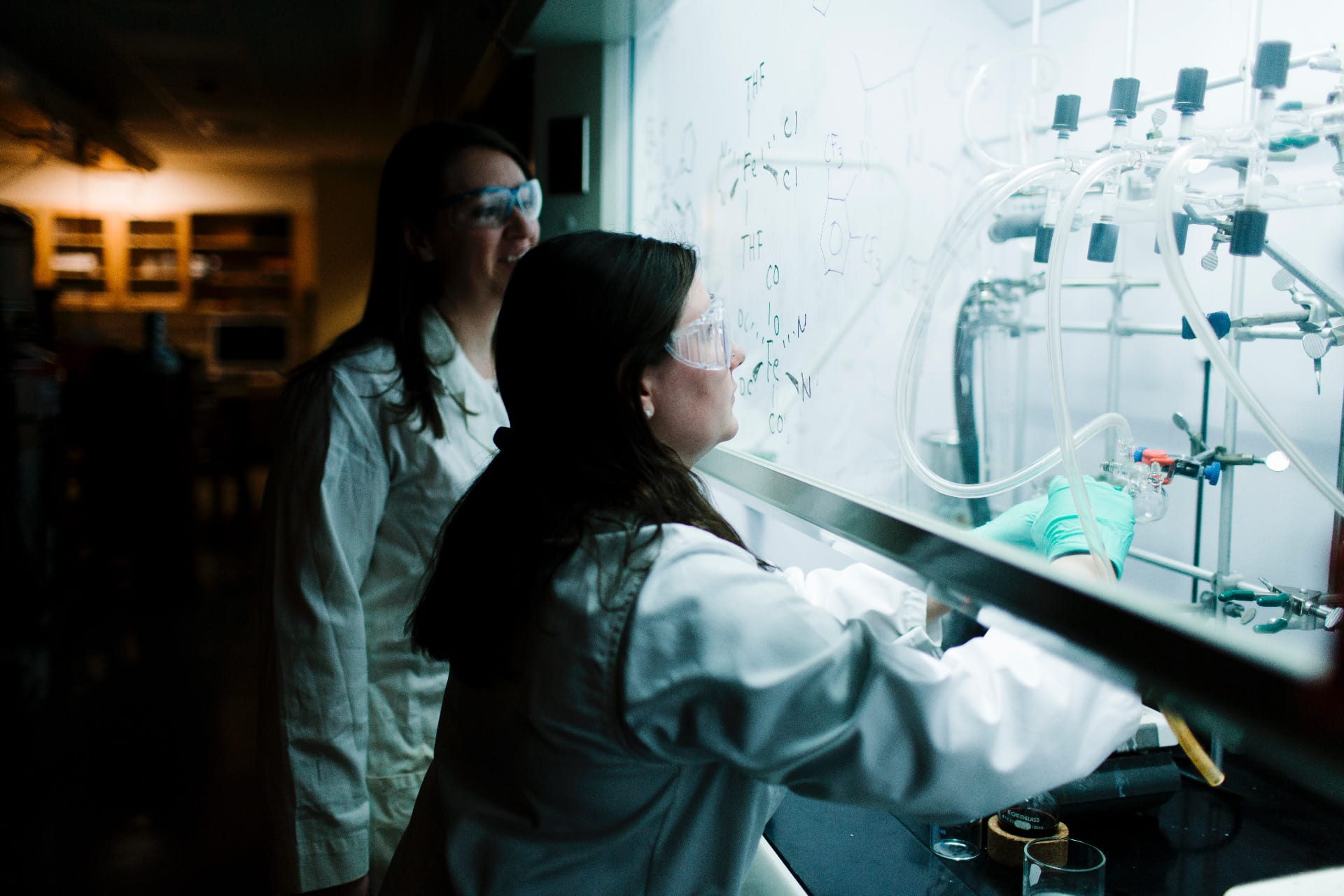 Dr. Maria Carroll’s Lab – Chemistry and Biochemistry